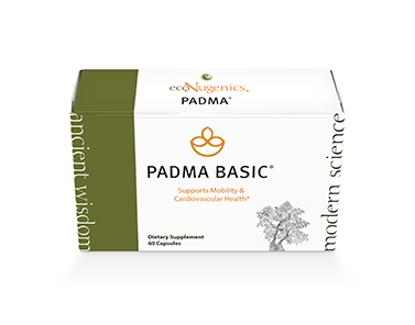 Buy Padma Basic with Costus Root, Iceland Moss, Neem Fruit and Valerian ...